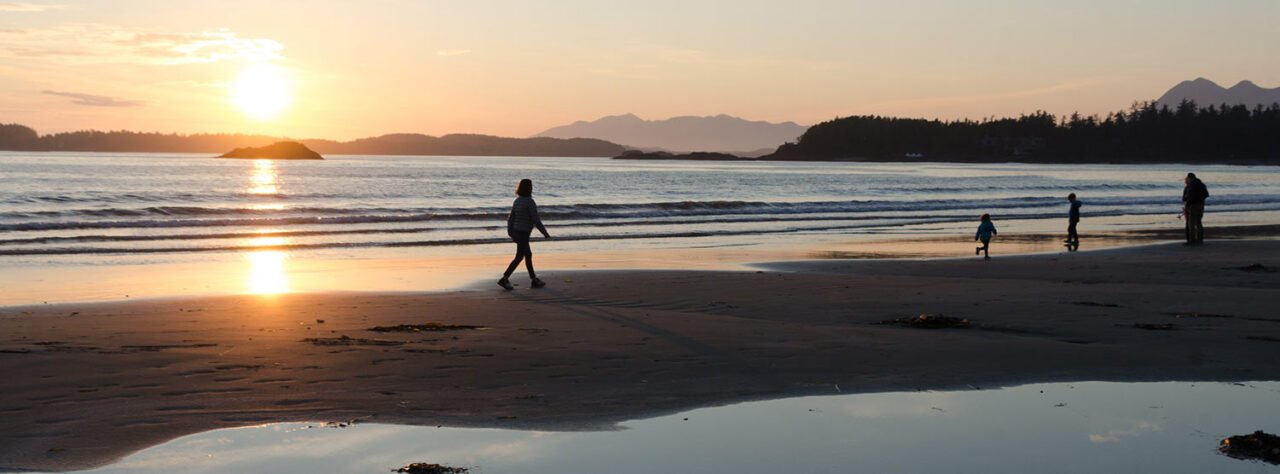 Cedar B.C. Informational Guide | Shanon Kelley