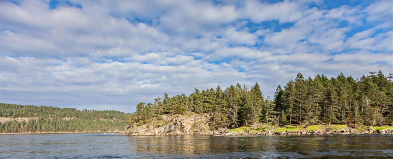 Guide to Mudge Island: The Small Tranquil Get Away | Shanon Kelley